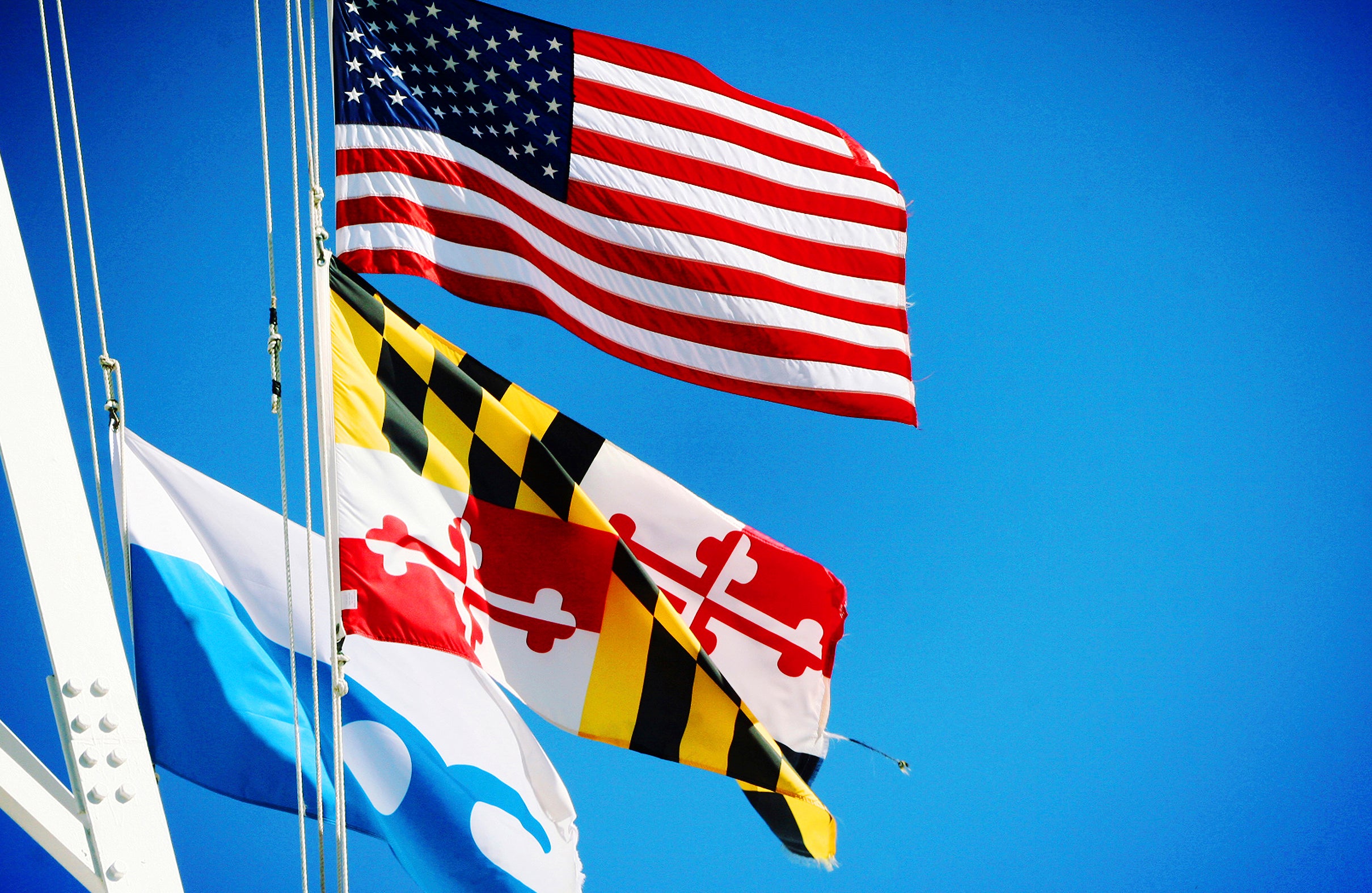 Flags – Plak That